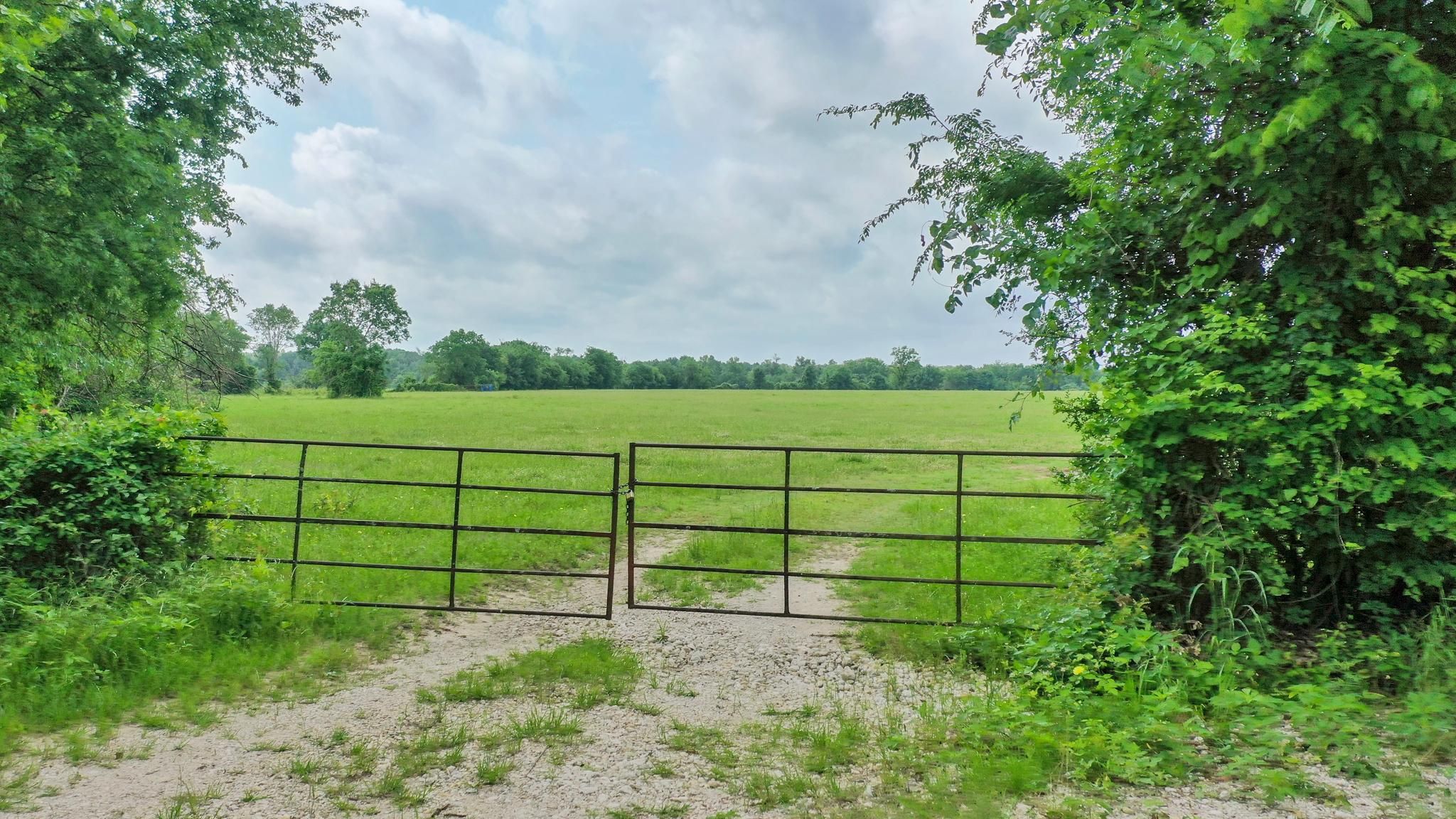 County Rd 3510, Lovelady, TX 75851 | MLS: 84588807 | LandWatch
