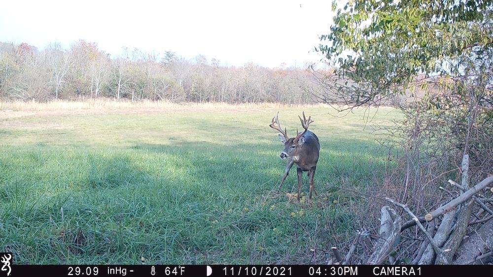 13011 Claysville Road, New Concord, OH 43762 | LandWatch