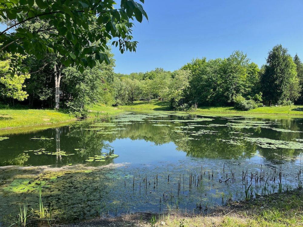 40 Cedar Lane, Varysburg, NY 14167 | MLS: 11531837 | LandWatch