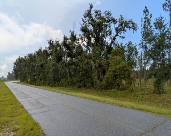 5.01 acres in Mayo, FL, 32066 | LandWatch
