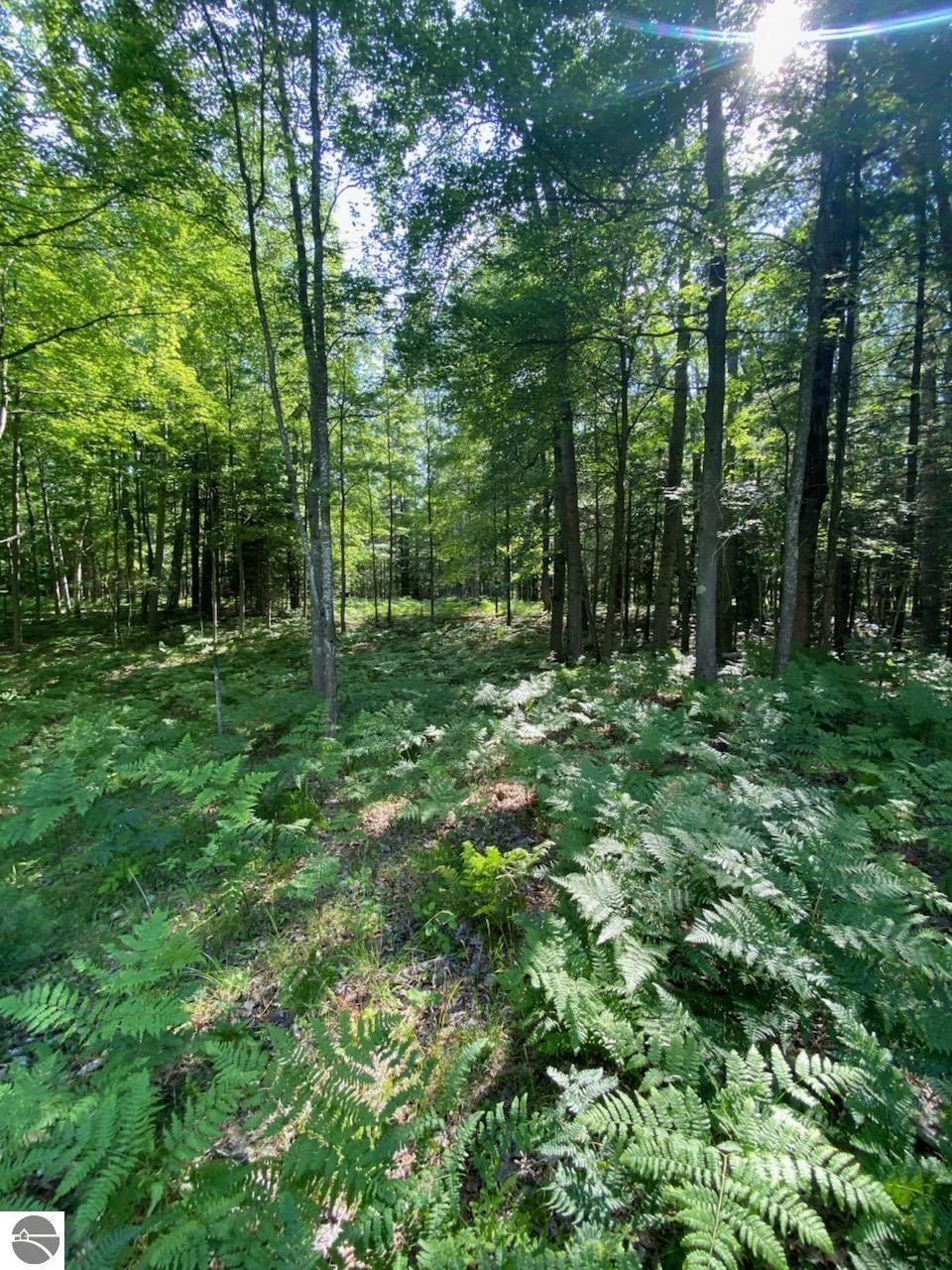 2569 E Wildwood Trail, Mikado, MI 48745 | MLS: 1936275 | LandWatch