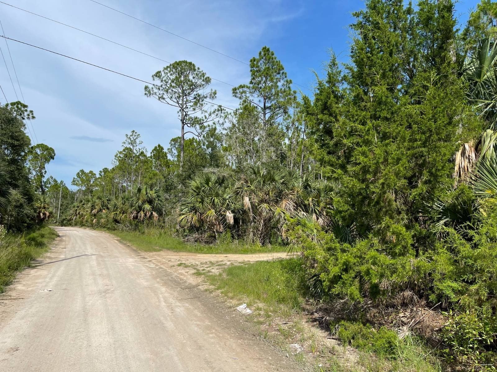 TBD Yates Creek Road, Perry, FL 32348 | MLS: 11534331 | LandWatch