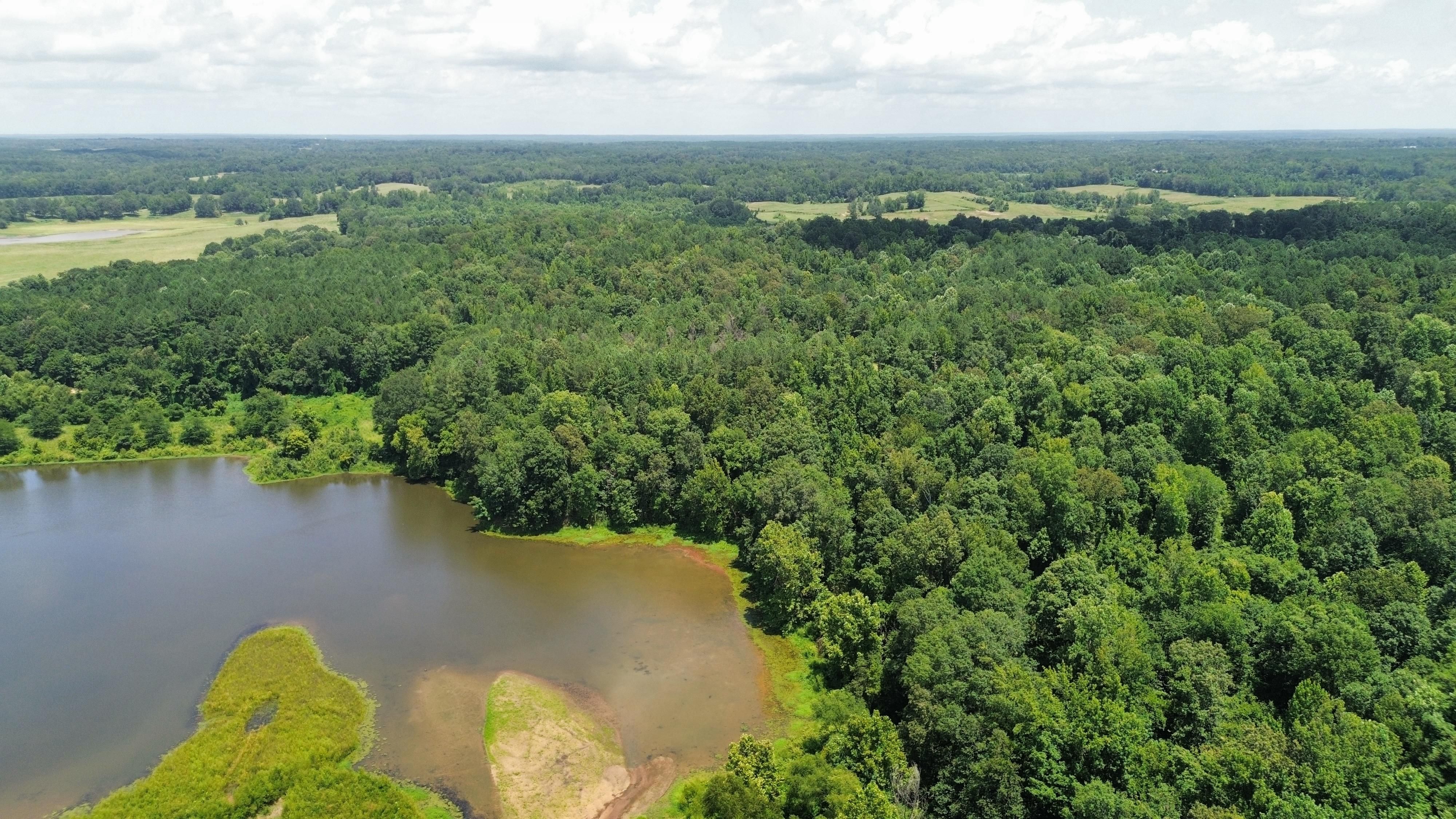 64.65 acres in Cascilla, MS, 38920 | MLS: 4118848 | LandWatch