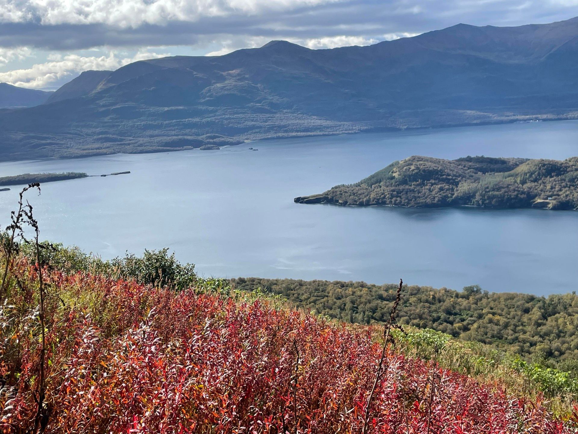 TBD Amook Island, Larsen Bay, AK 99624 | LandWatch