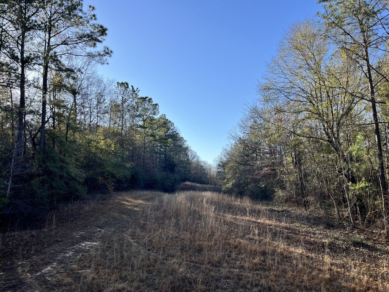 County Road 39, Selma, AL 36701 | MLS: 11535992 | LandWatch