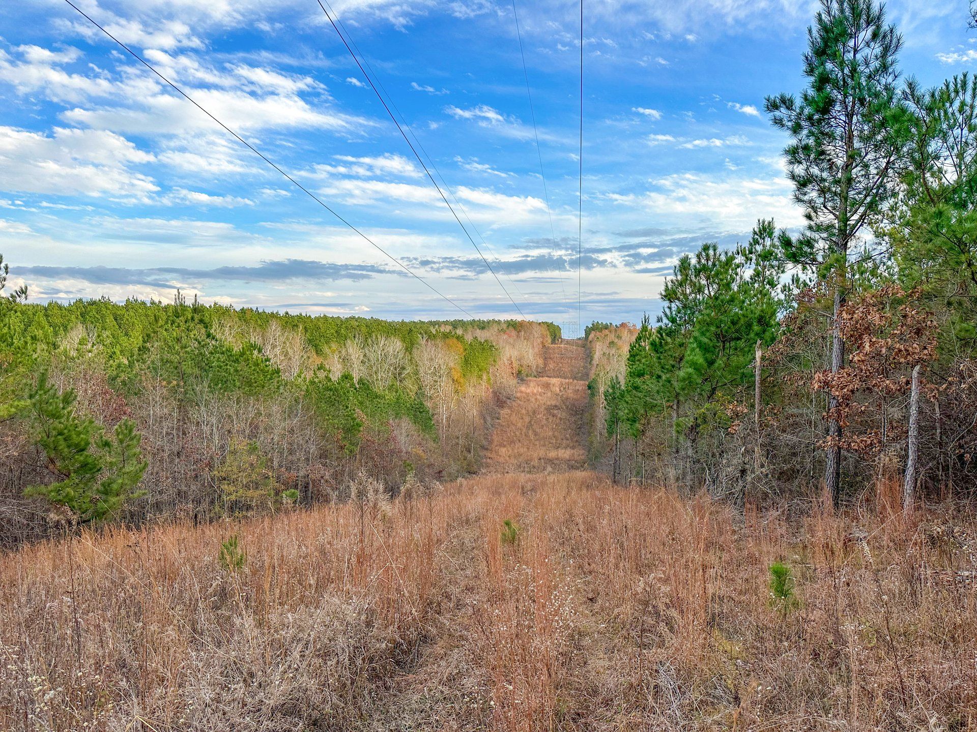 0 CR 52, Goodwater, AL 35072 | LandWatch