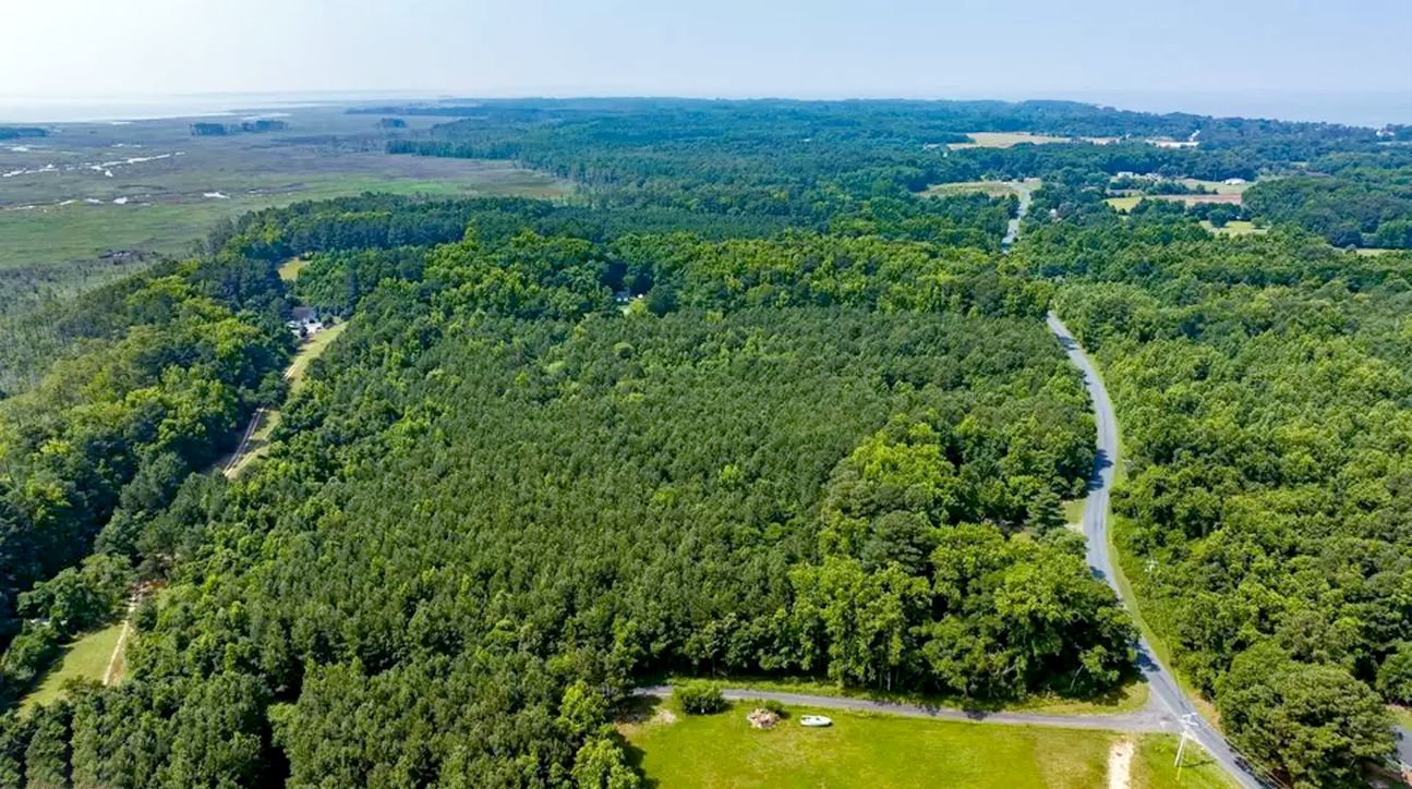 MD-352, Tyaskin, MD 21865 | LandWatch