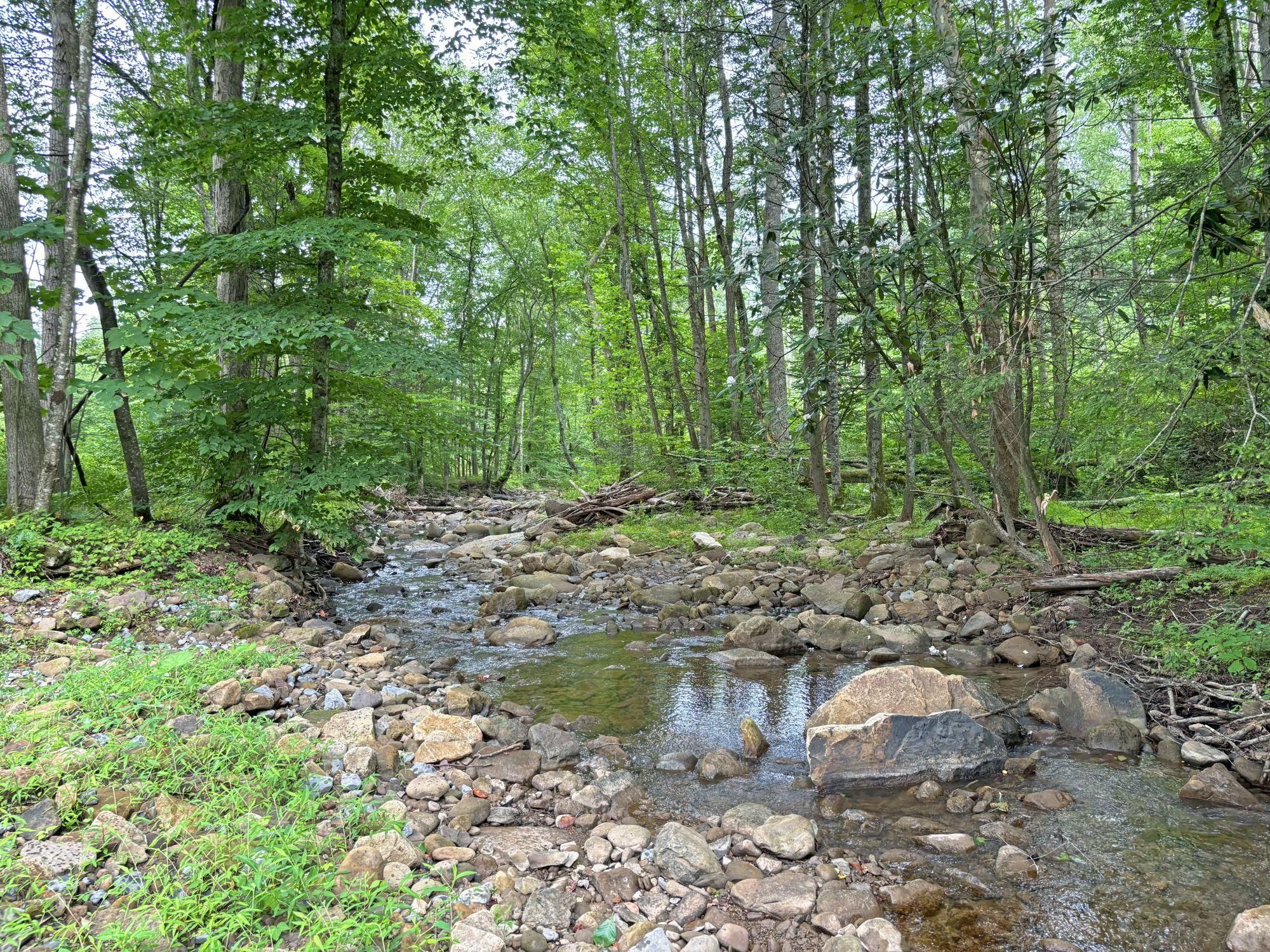 3727 Judson Rd, Alderson, WV 24910 | LandWatch