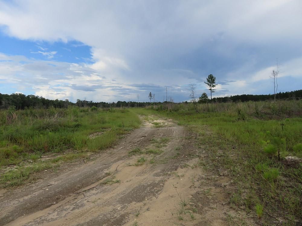 129 acres in Samson, AL, 36477 | LandWatch