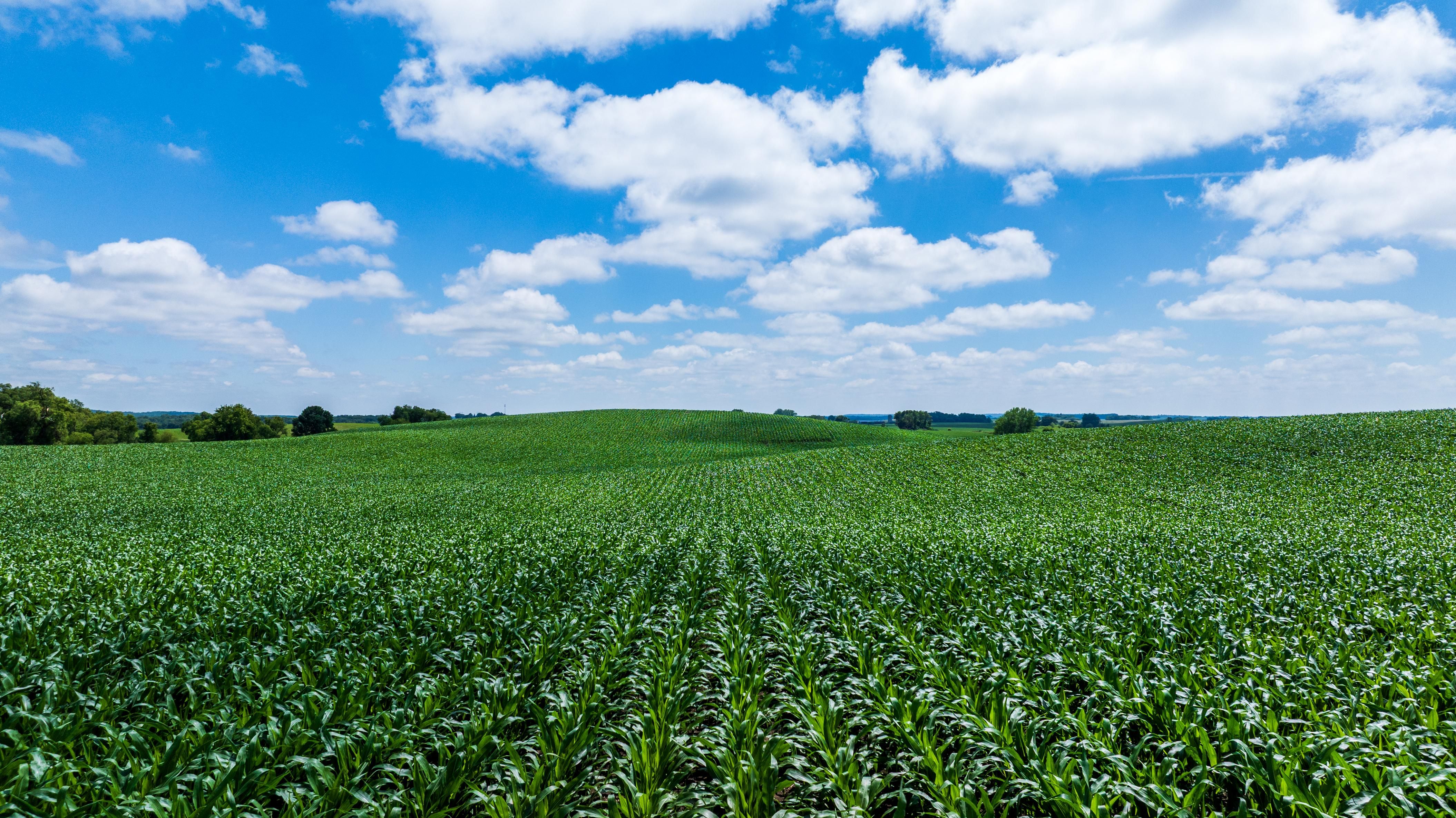 270.52 acres in Erhard, MN, 56534 | LandWatch