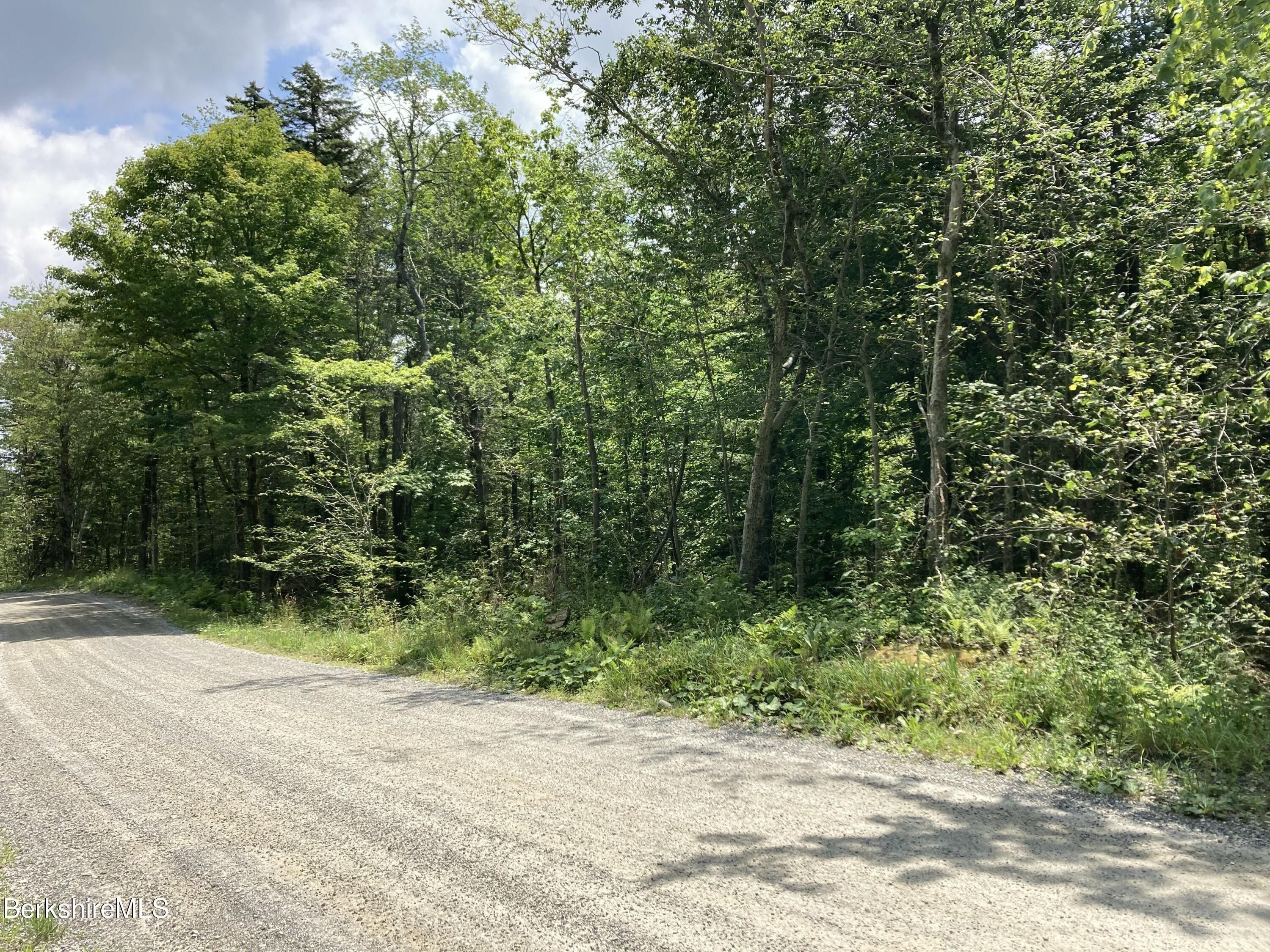 Lot 32 Leonhardt Rd, Becket, MA 01223 | MLS: 247126 | LandWatch