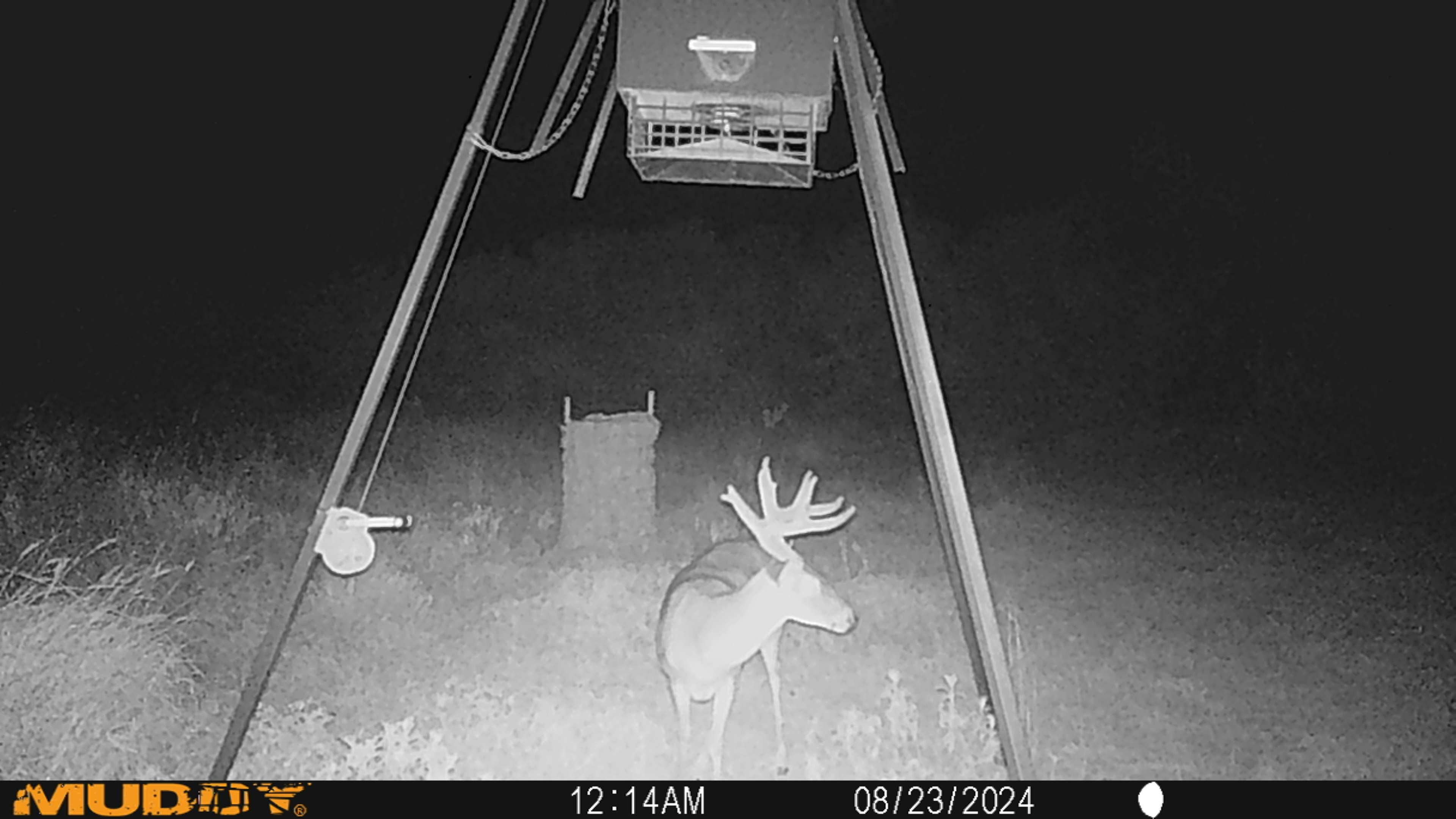 270 acres in Bruni, TX, 78344 | LandWatch