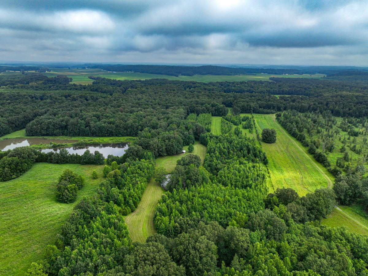 14941 State Route 120, Providence, KY 42450 | LandWatch