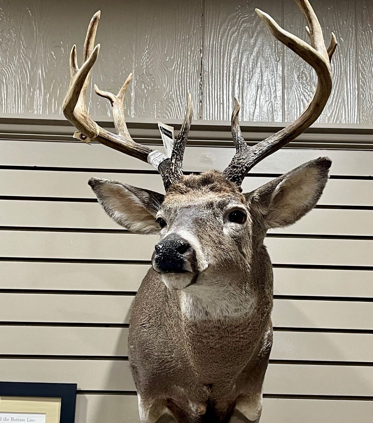 Stogey Road, Lot#WP001, Brookport, IL 62910 | LandWatch