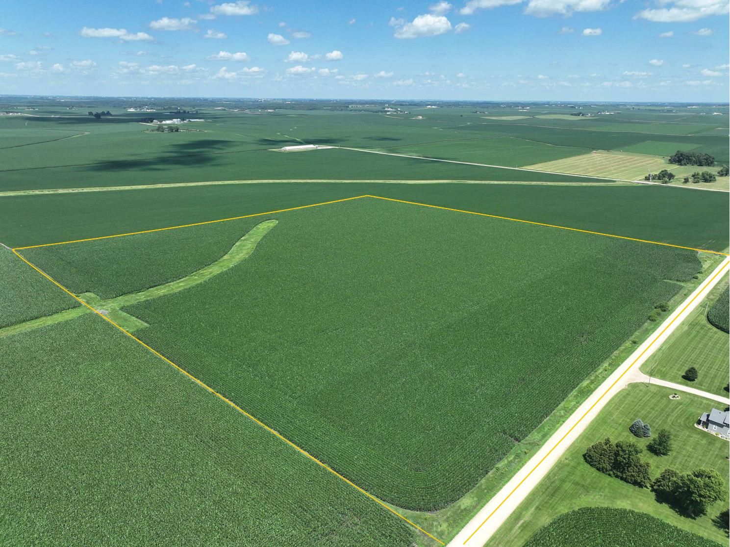 295th St., Manchester, IA 52057 | LandWatch