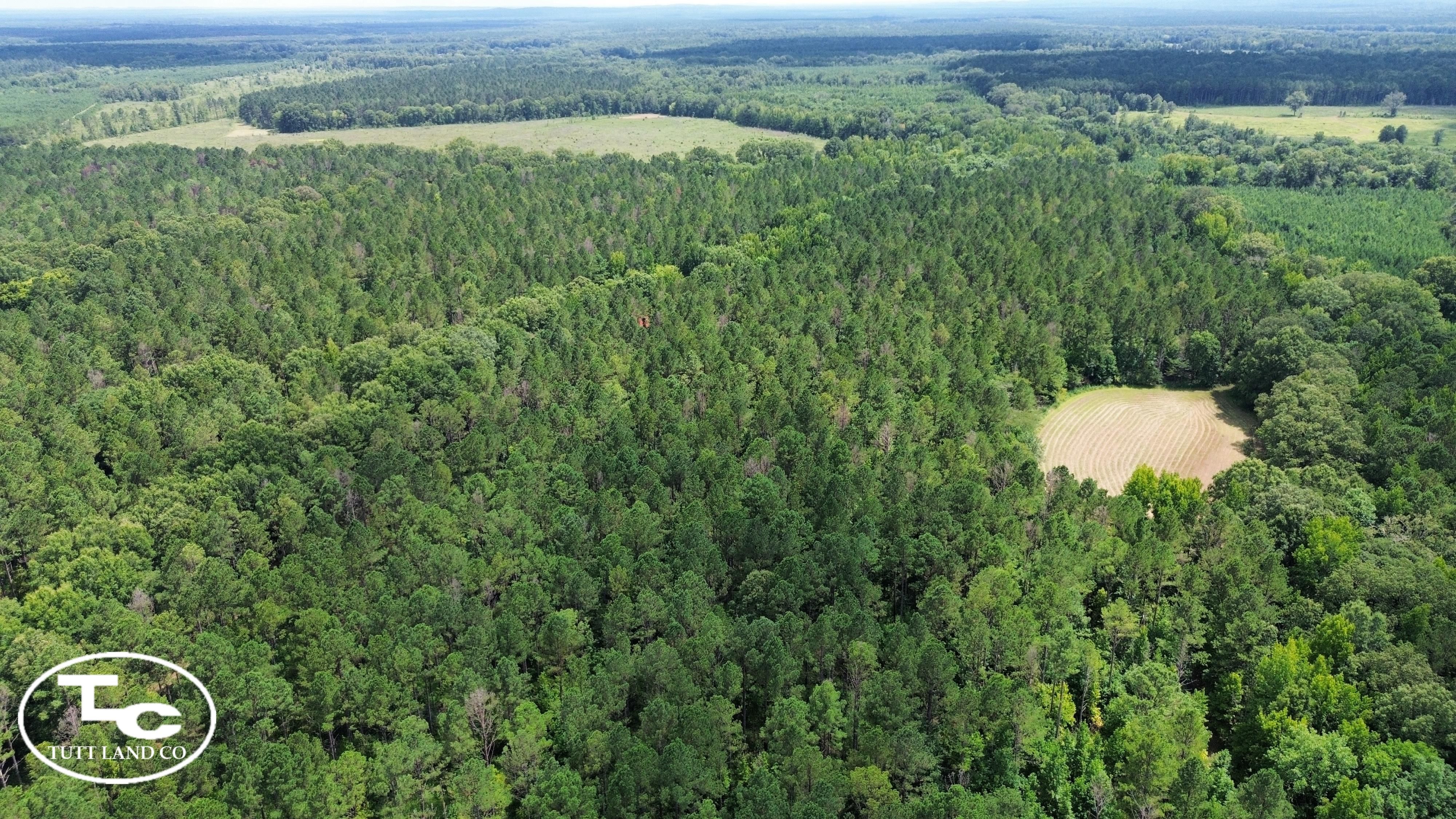520 acres in Catherine, AL, 36728 | LandWatch
