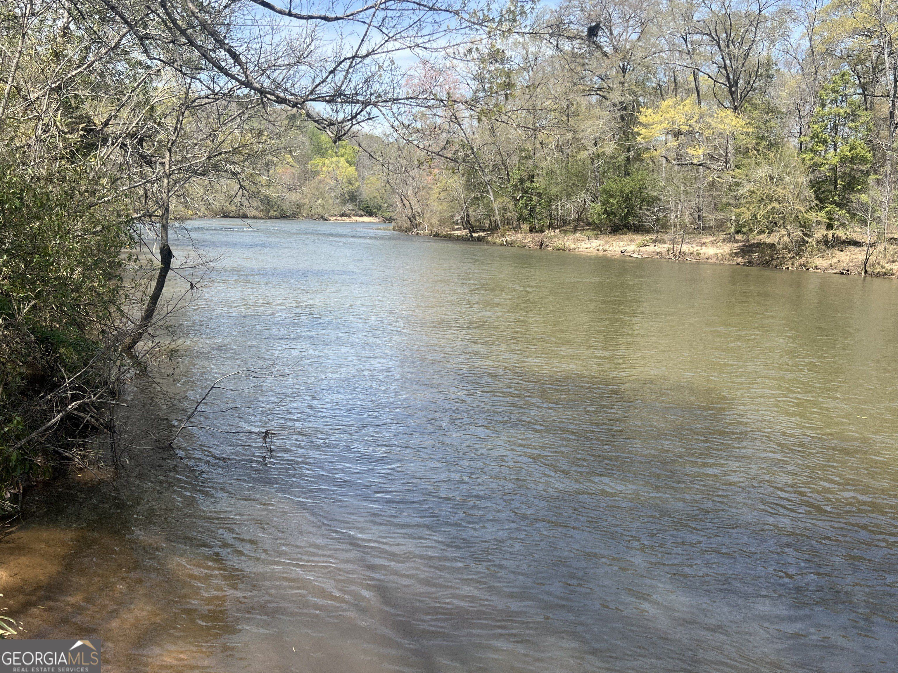 0 HWY 36, Woodland, GA 31836 | MLS: 10525315 | LandWatch