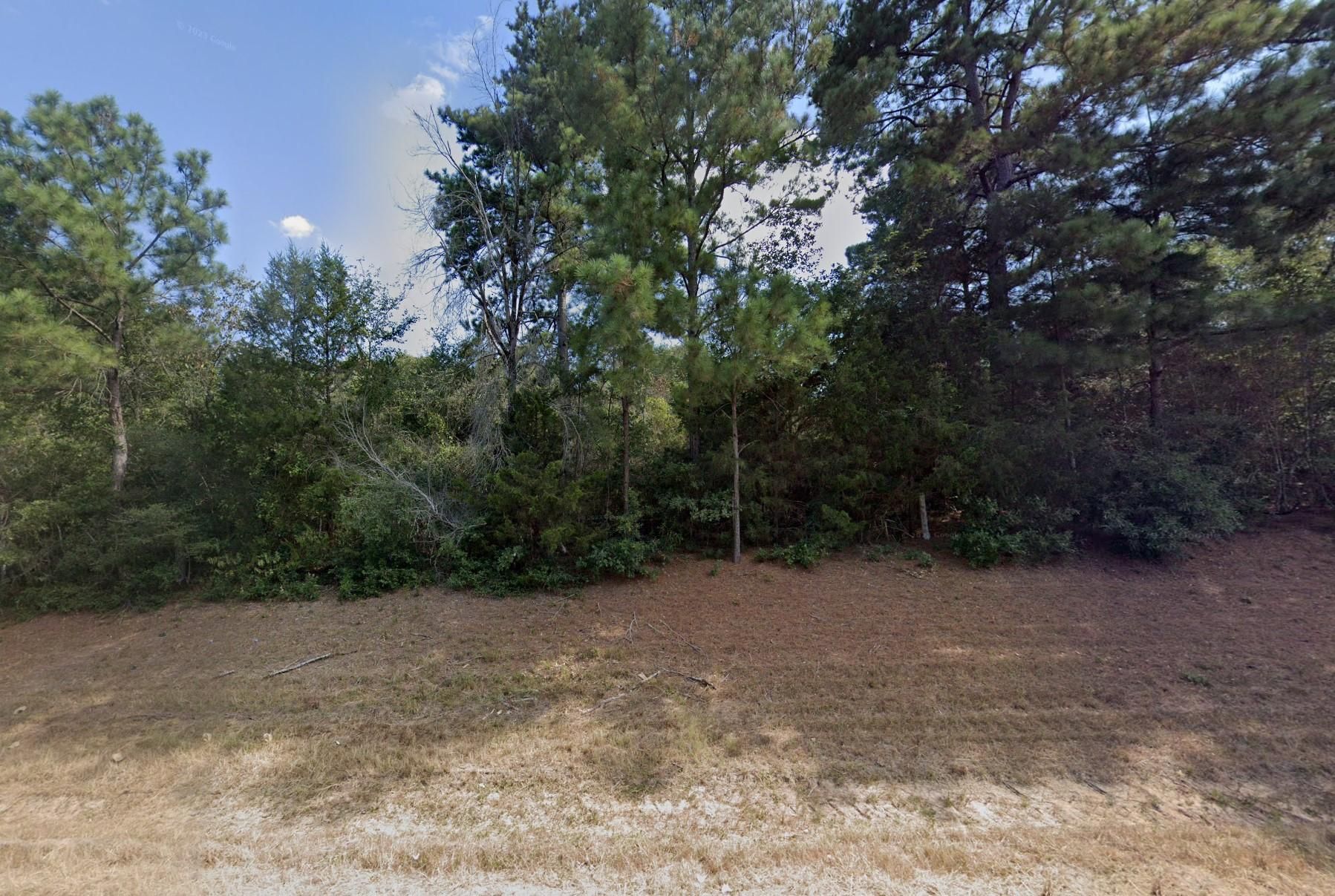 Balmoorah Drive, Hempstead, TX 77445 | LandWatch