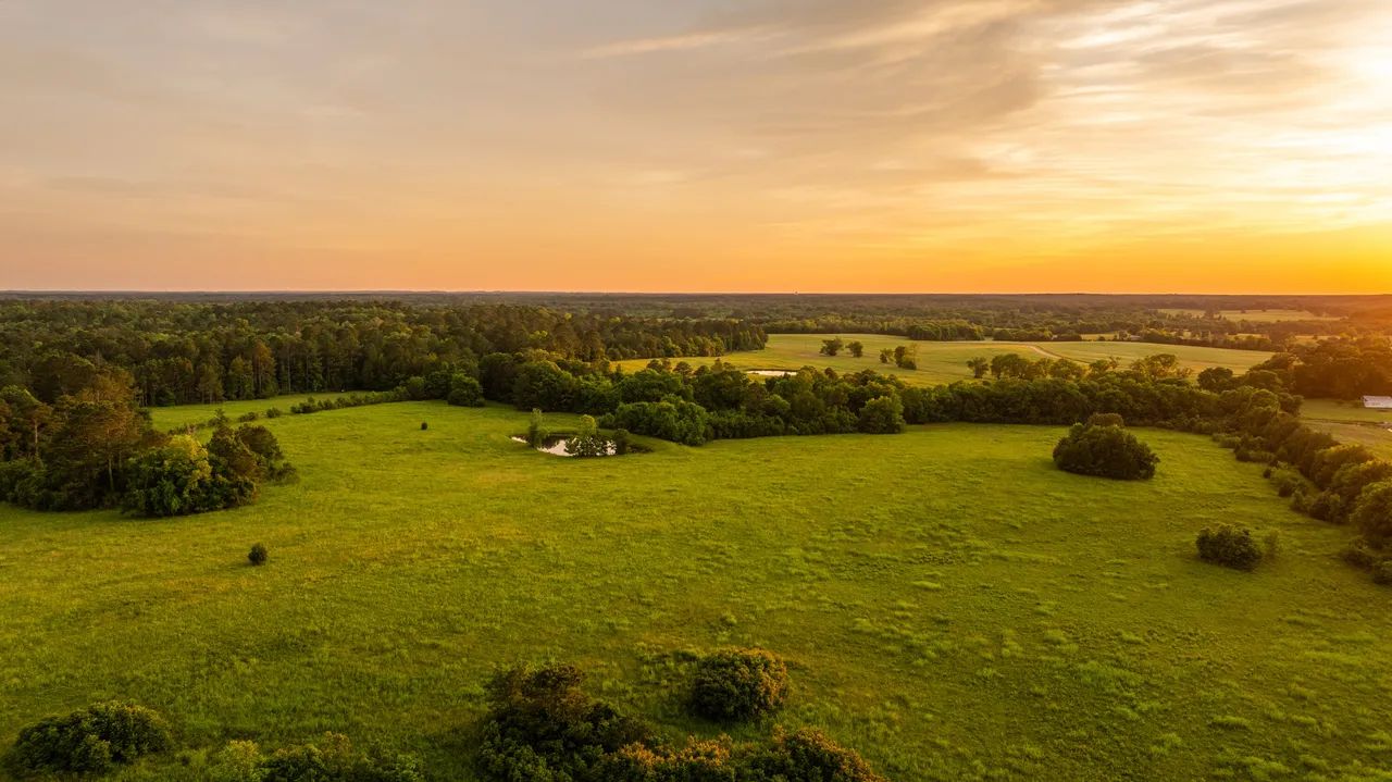 County Road 37, Fitzpatrick, AL 36029 | LandWatch