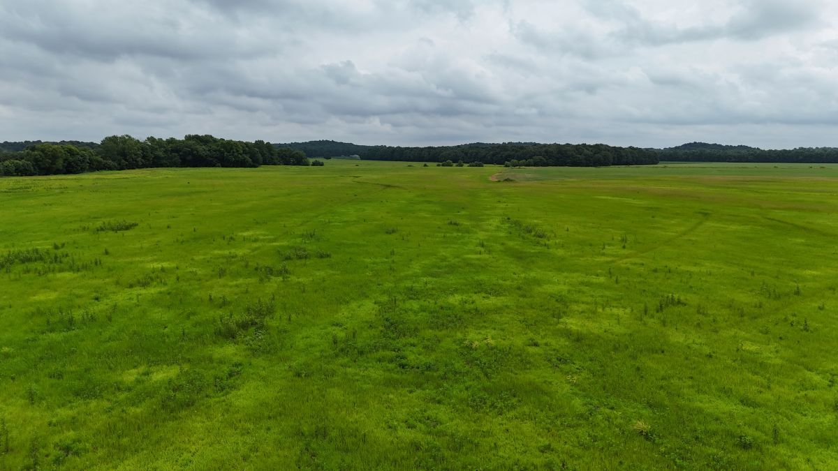 Ray Lane, Lot#WP001, Rumsey, KY 42371 | LandWatch