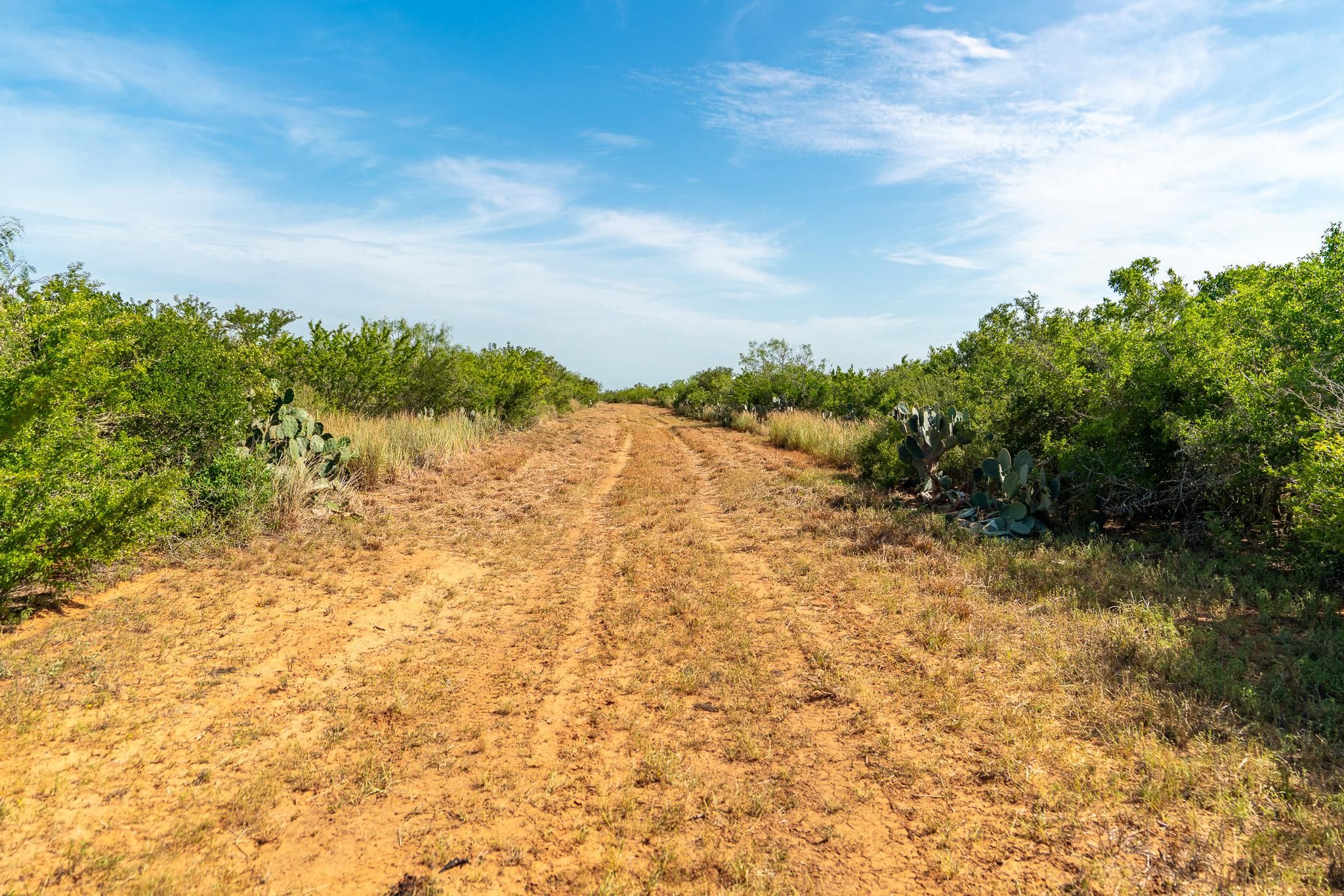 276 acres in Realitos, TX, 78376 | LandWatch