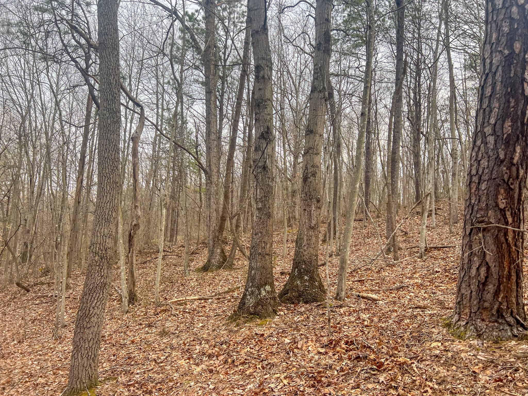 Ponetown Rd, Ray, OH 45672 | LandWatch