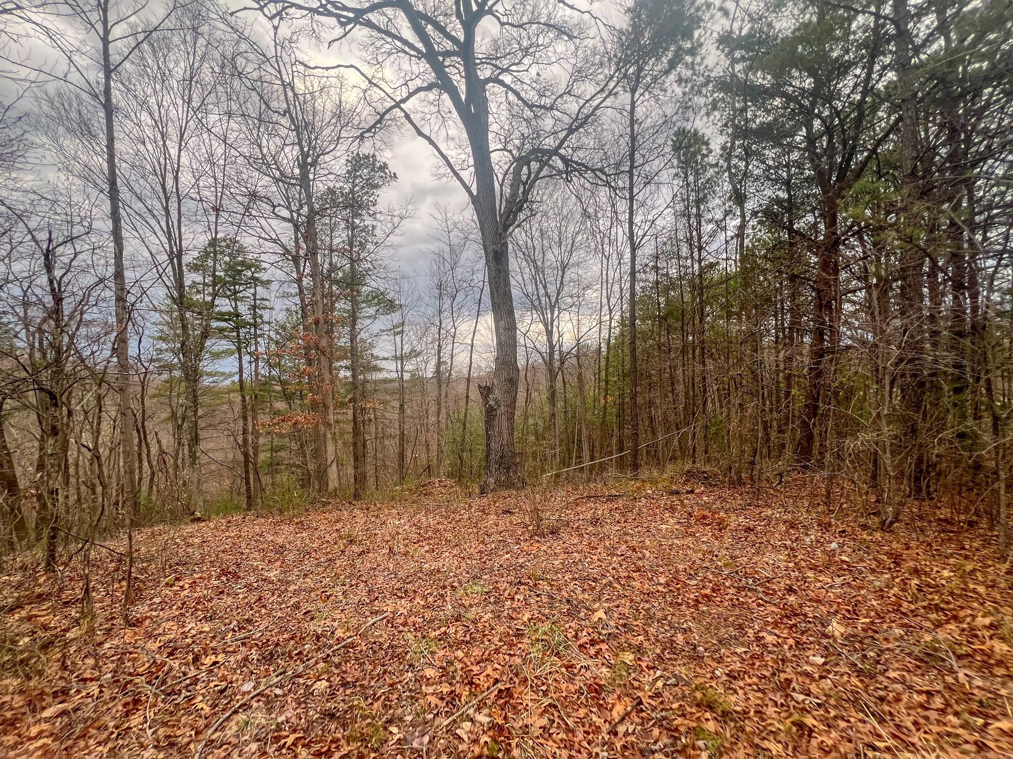 Ponetown Rd, Ray, OH 45672 | LandWatch