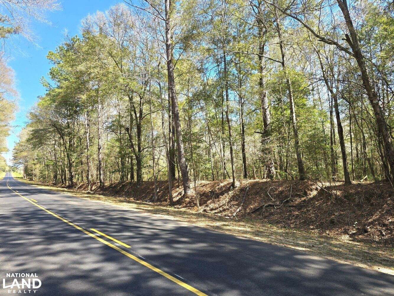 5530 County Road 33, Ozark, AL 36360 | LandWatch