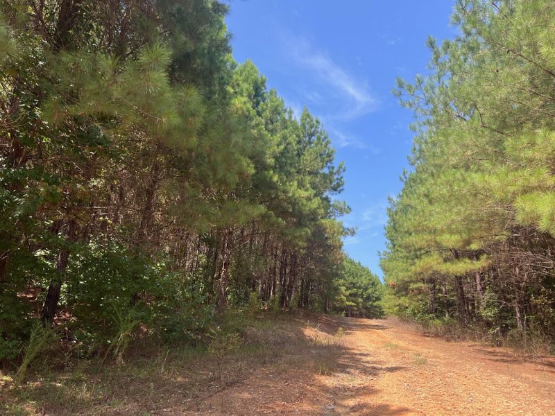 Charlie Reeves Road, Roberta, GA 31078 | LandWatch