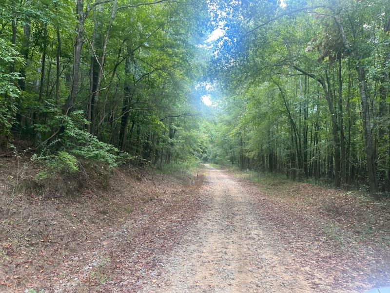 Charlie Reeves Road, Roberta, GA 31078 | LandWatch
