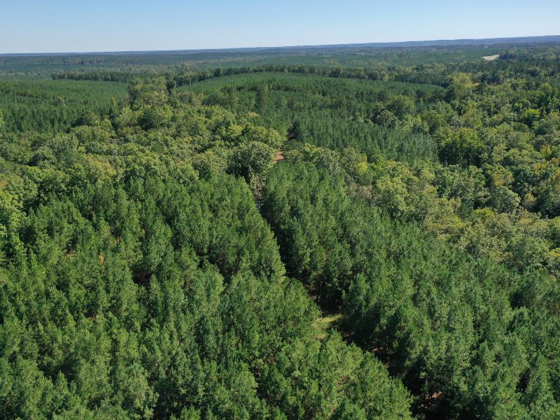 Charlie Reeves Road, Roberta, GA 31078 | LandWatch