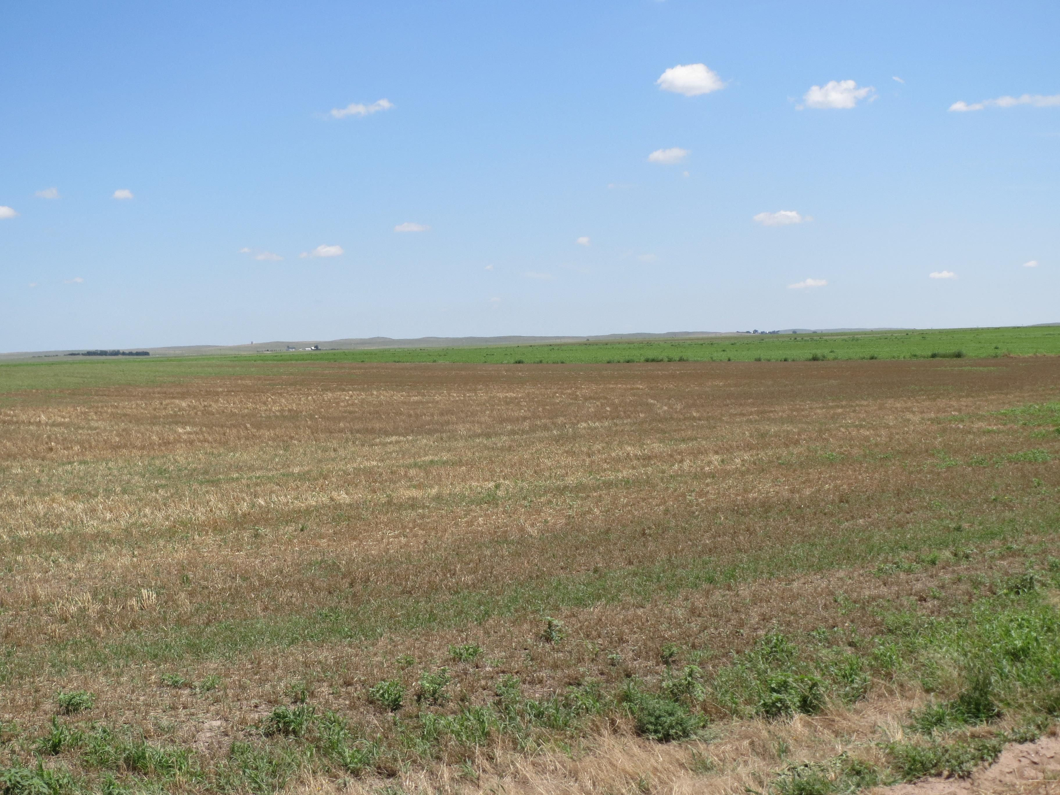 320 acres in Otis, CO, 80743 | LandWatch