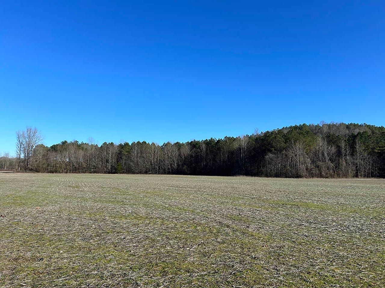 48 acres in Spring Hill, MS, 38655 | LandWatch