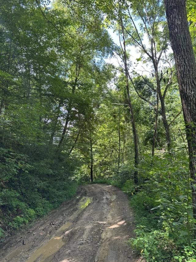 1000 Howard Fork Road, Gunlock, KY 41465 | MLS: 11544573 | LandWatch