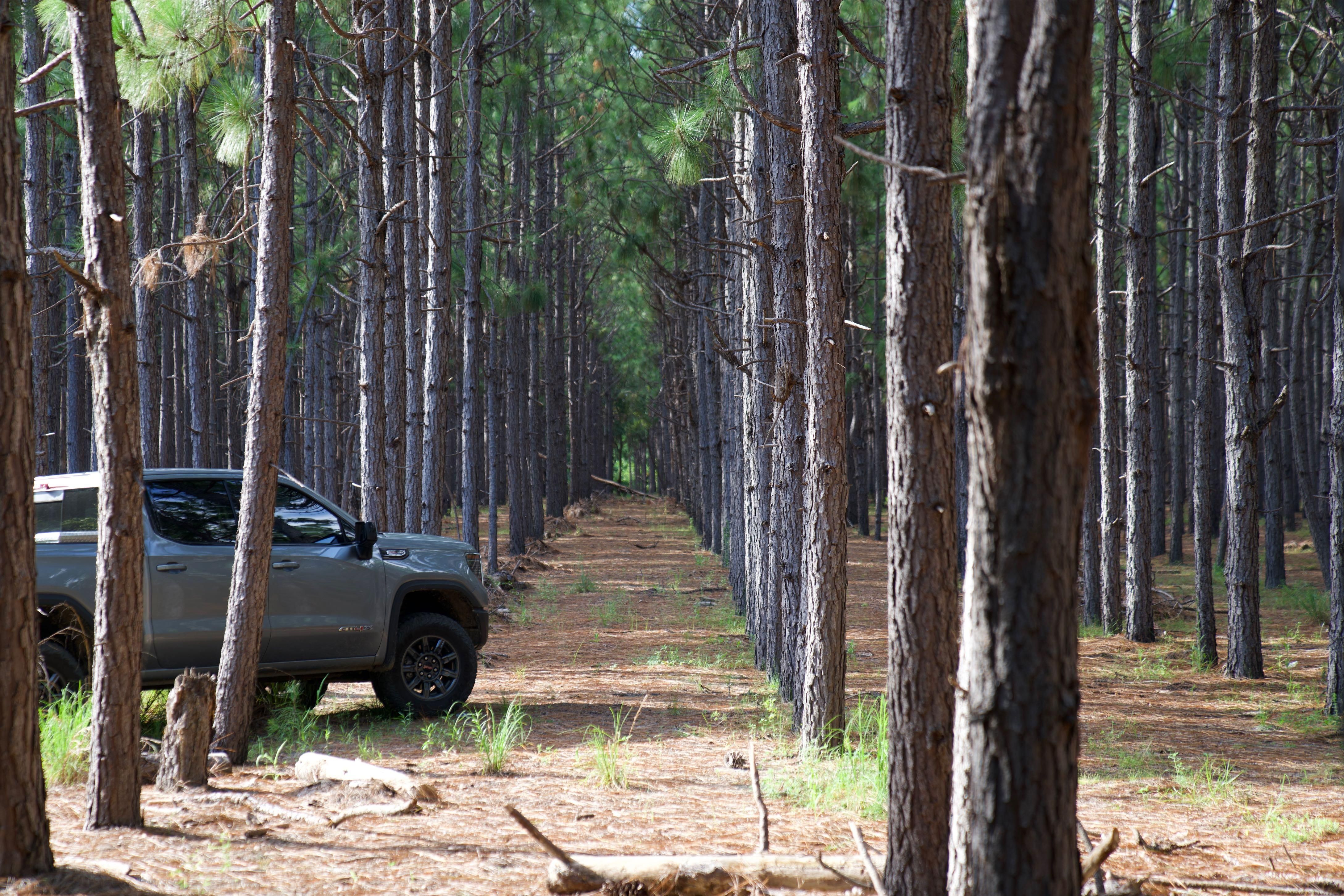 Pocotaligo Road, Fairfax, SC 29827 | LandWatch