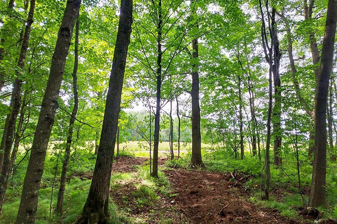 5 acres in Prentice, WI, 54556 | LandWatch