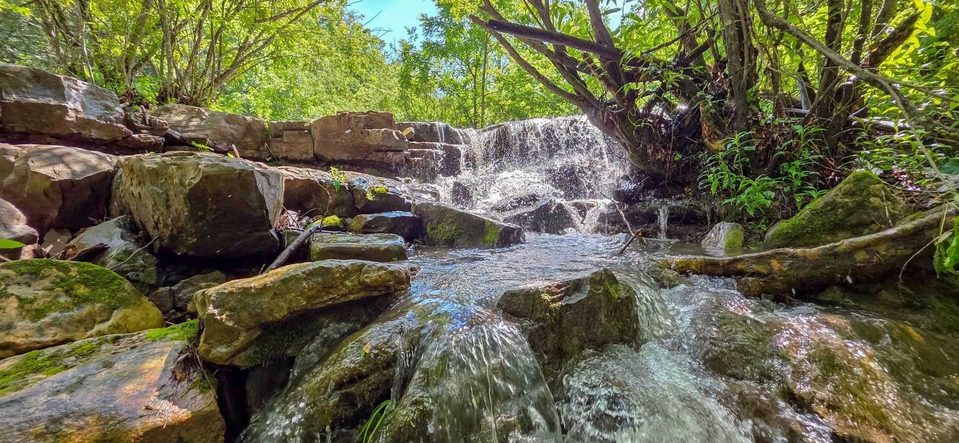 Ellison Ridge Road, Jumping Branch, WV 25969 | MLS: SUNRISE BRANCH 49 ...