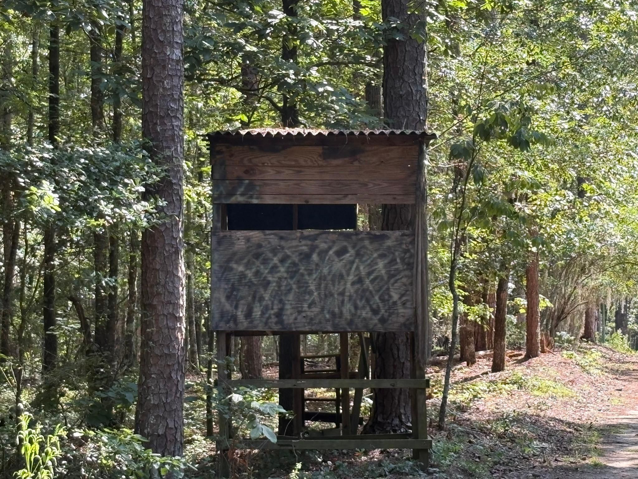 312 Weeks Landing Road, Cameron, SC 29030 | LandWatch