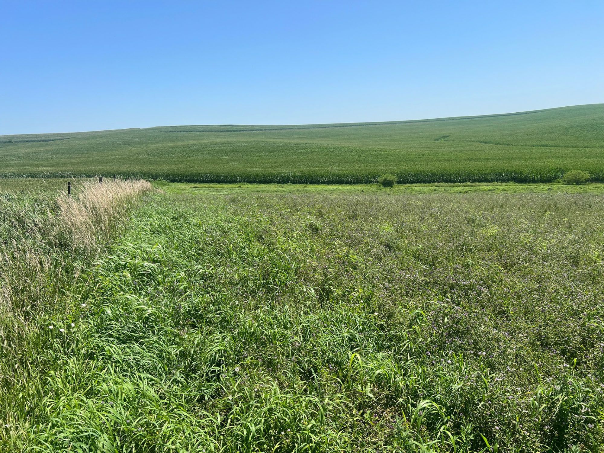 5.01 acres in Audubon, IA, 50025 | LandWatch
