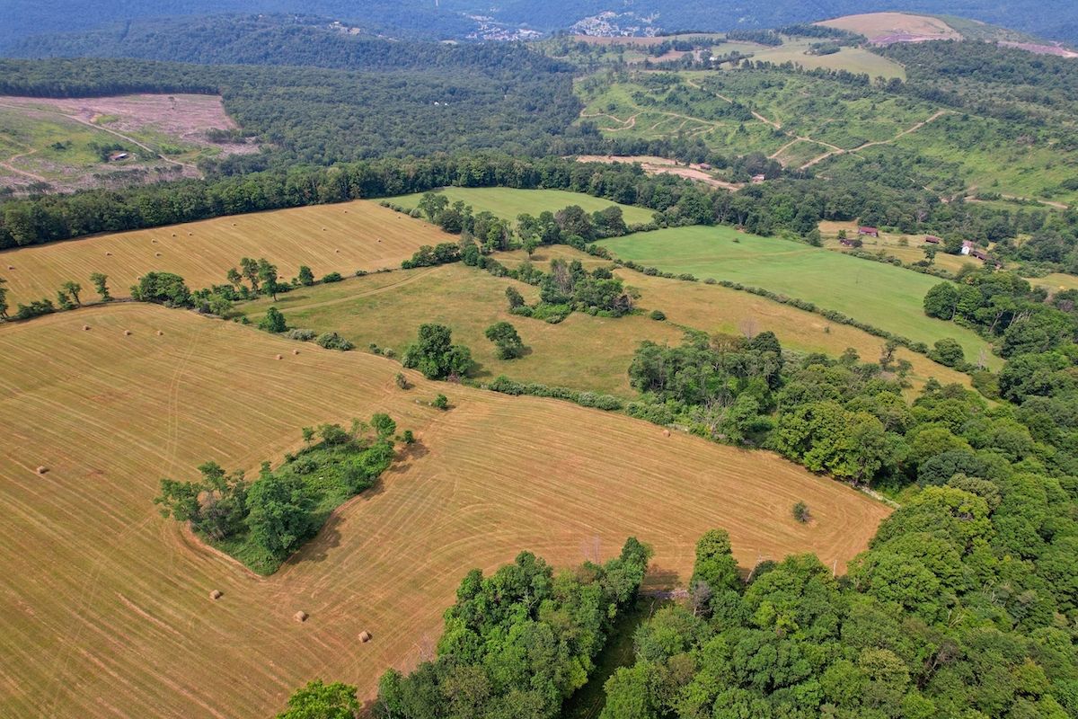 21205 Long Mountain Road, Westernport, MD 21562 | MLS: MDAL2012330 ...