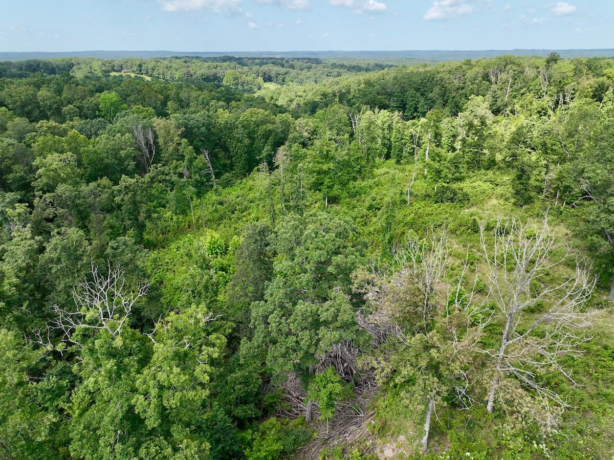 TBD Songbird Rd, Lot #WP002, Powell, MO 65730 | LandWatch