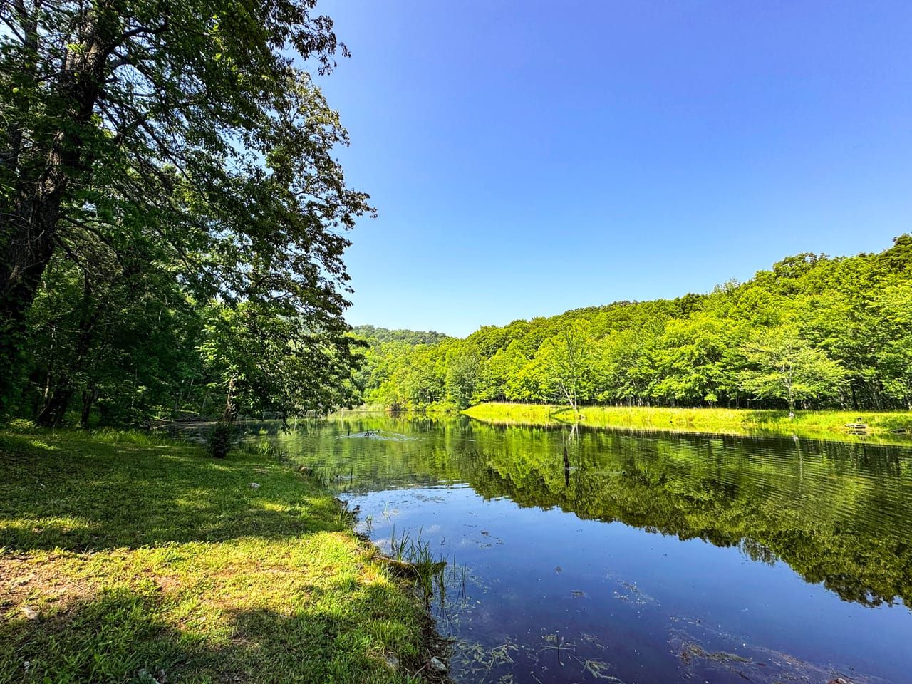 0 Little White Oak Road, Duff, TN 37729 | LandWatch