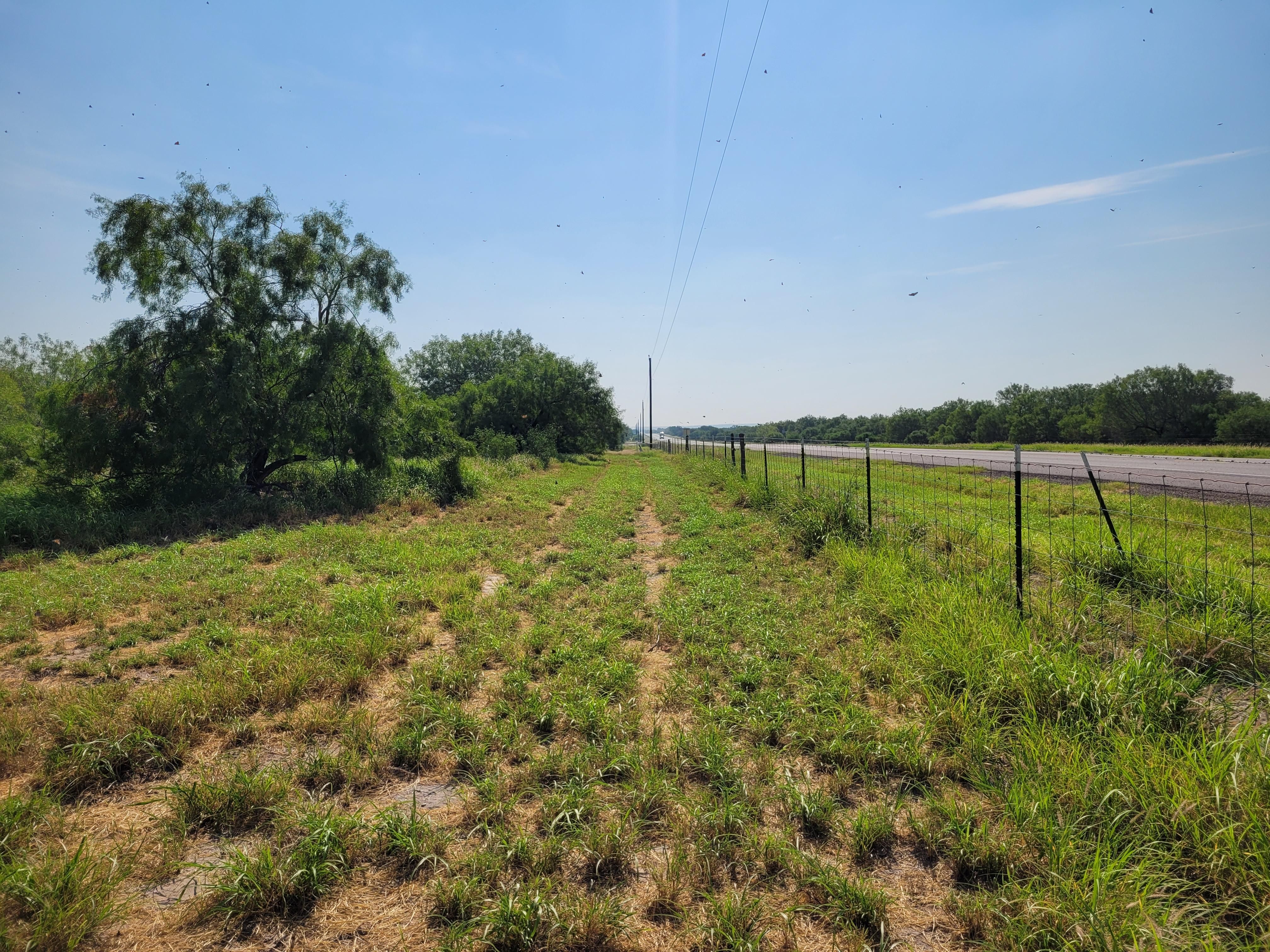 21 acres in Mirando City, TX, 78369 | LandWatch