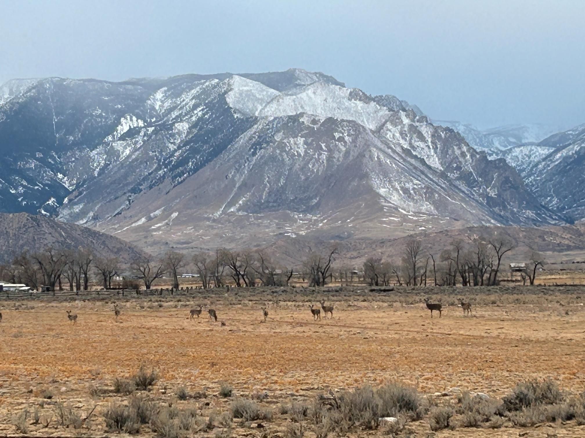 7.2 acres in Powell, WY, 82435 | LandWatch