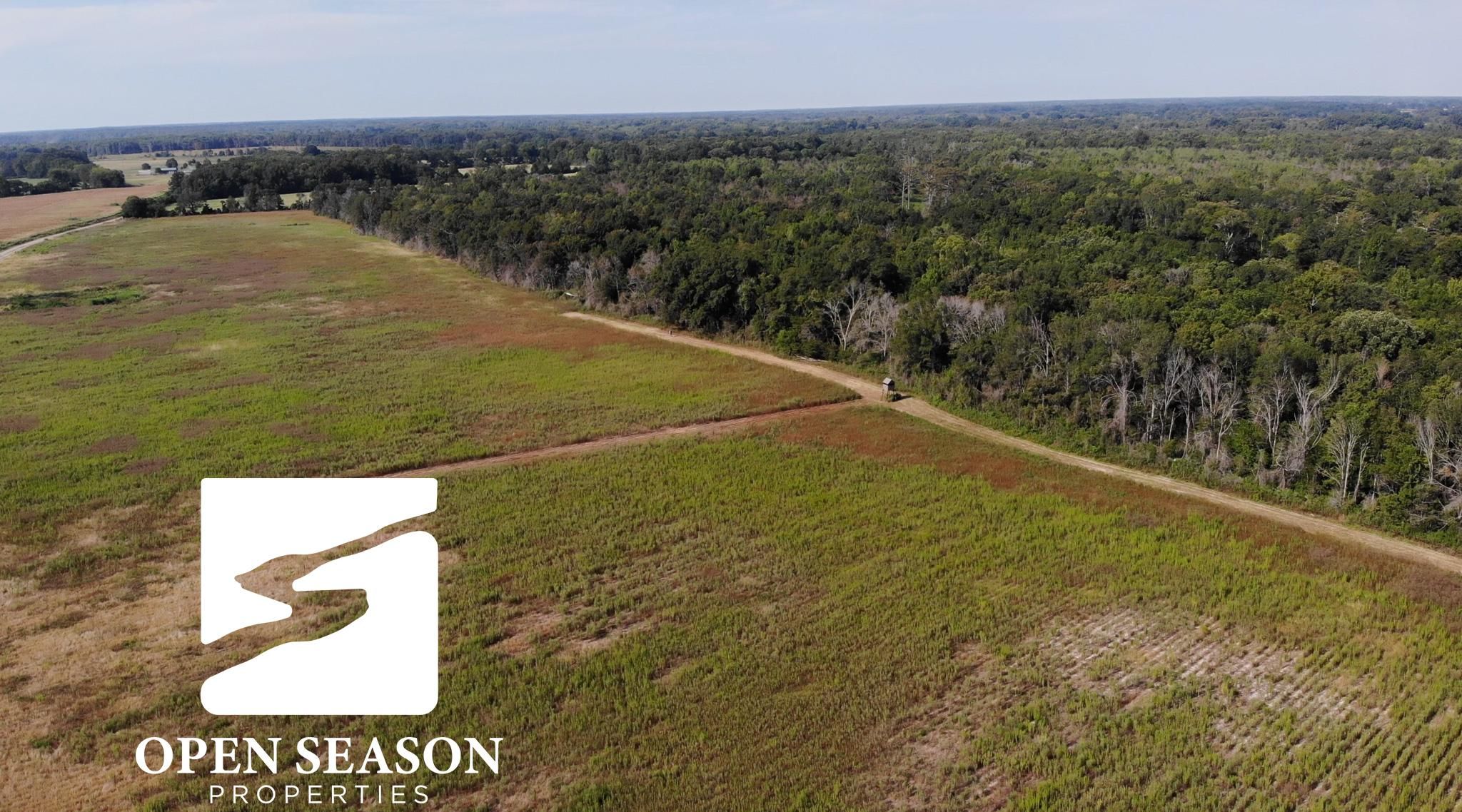 Dehlco Rd, Rayville, LA 71269 | LandWatch