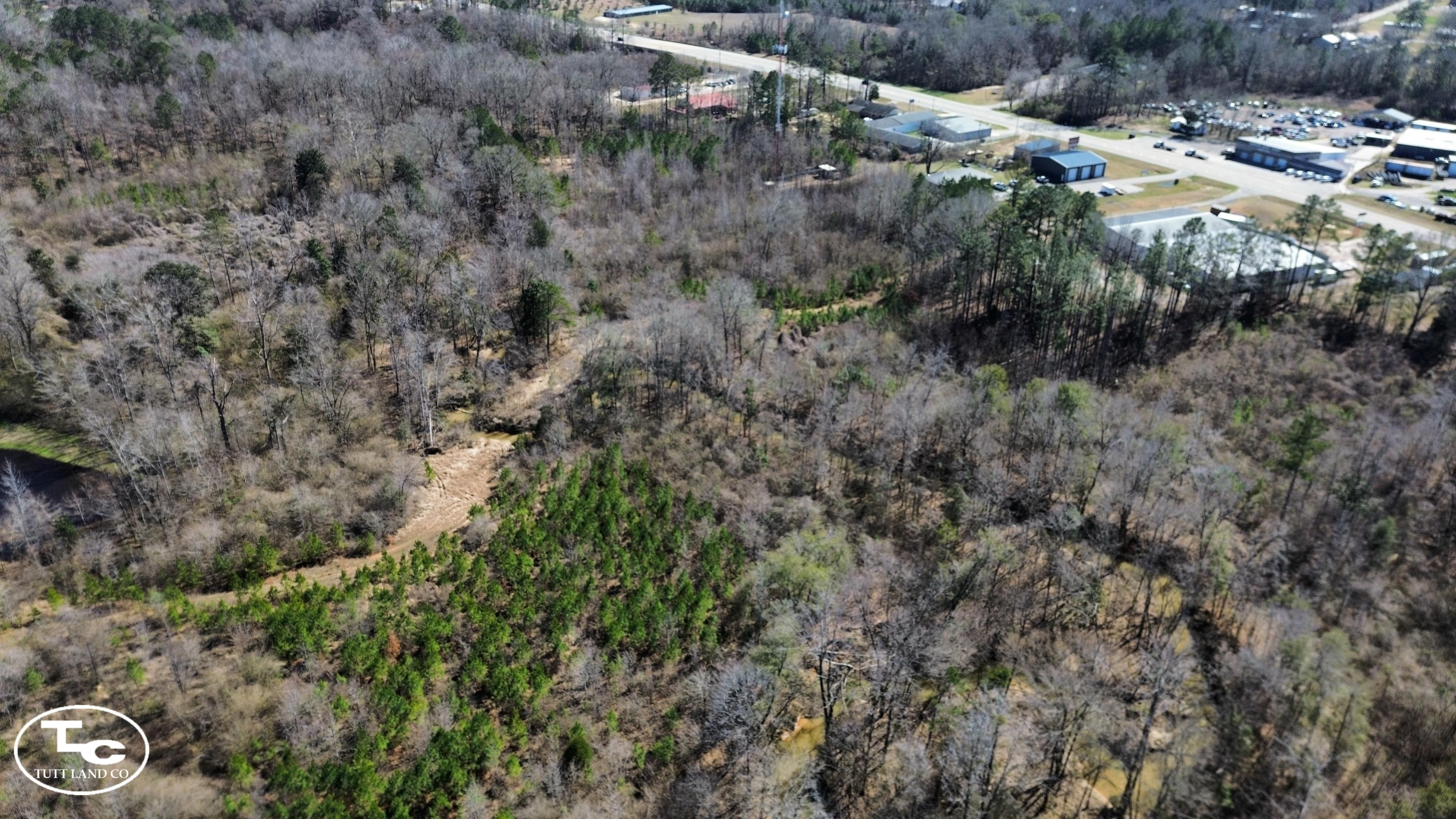 97 acres in Butler, AL, 36904 | LandWatch