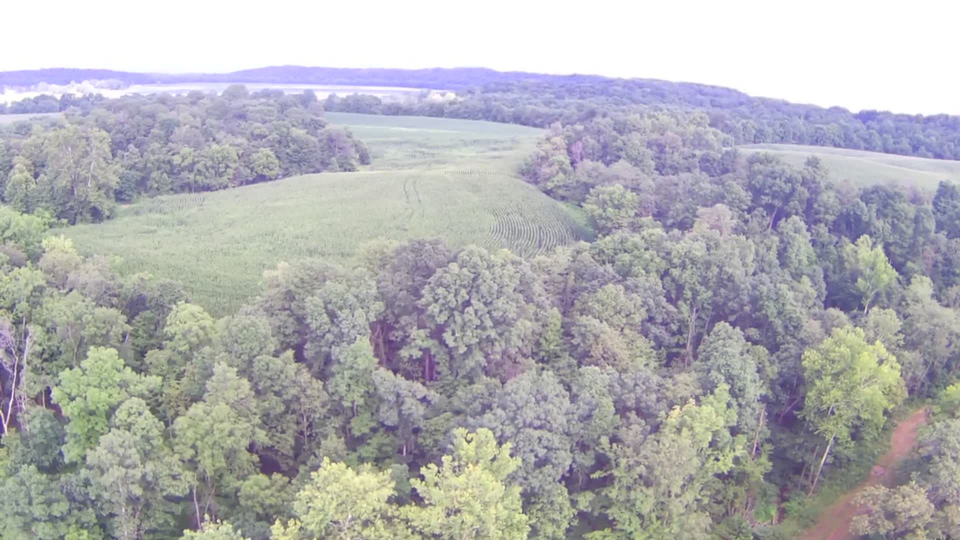 Friends Creek Road, Loogootee, IN 47553 | MLS: 202530596 | LandWatch