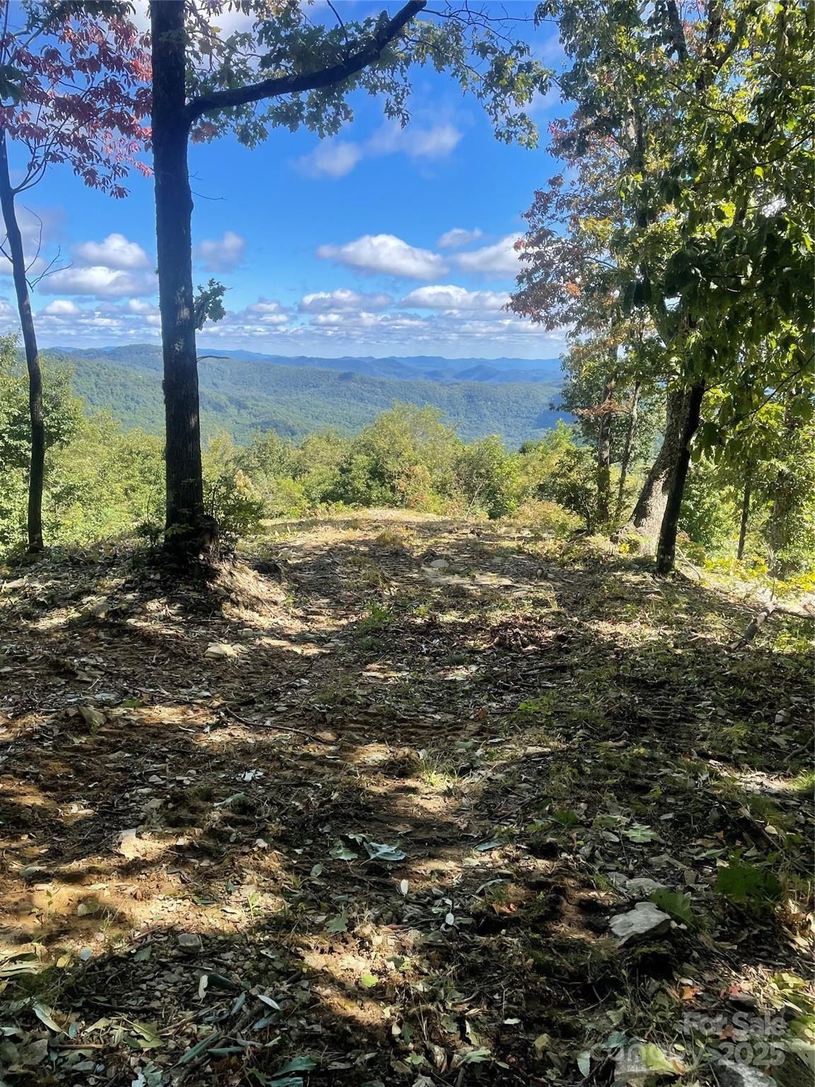 9999 High Cliffs Trail, Black Mountain, NC 28711 | MLS: 4288951 | LandWatch