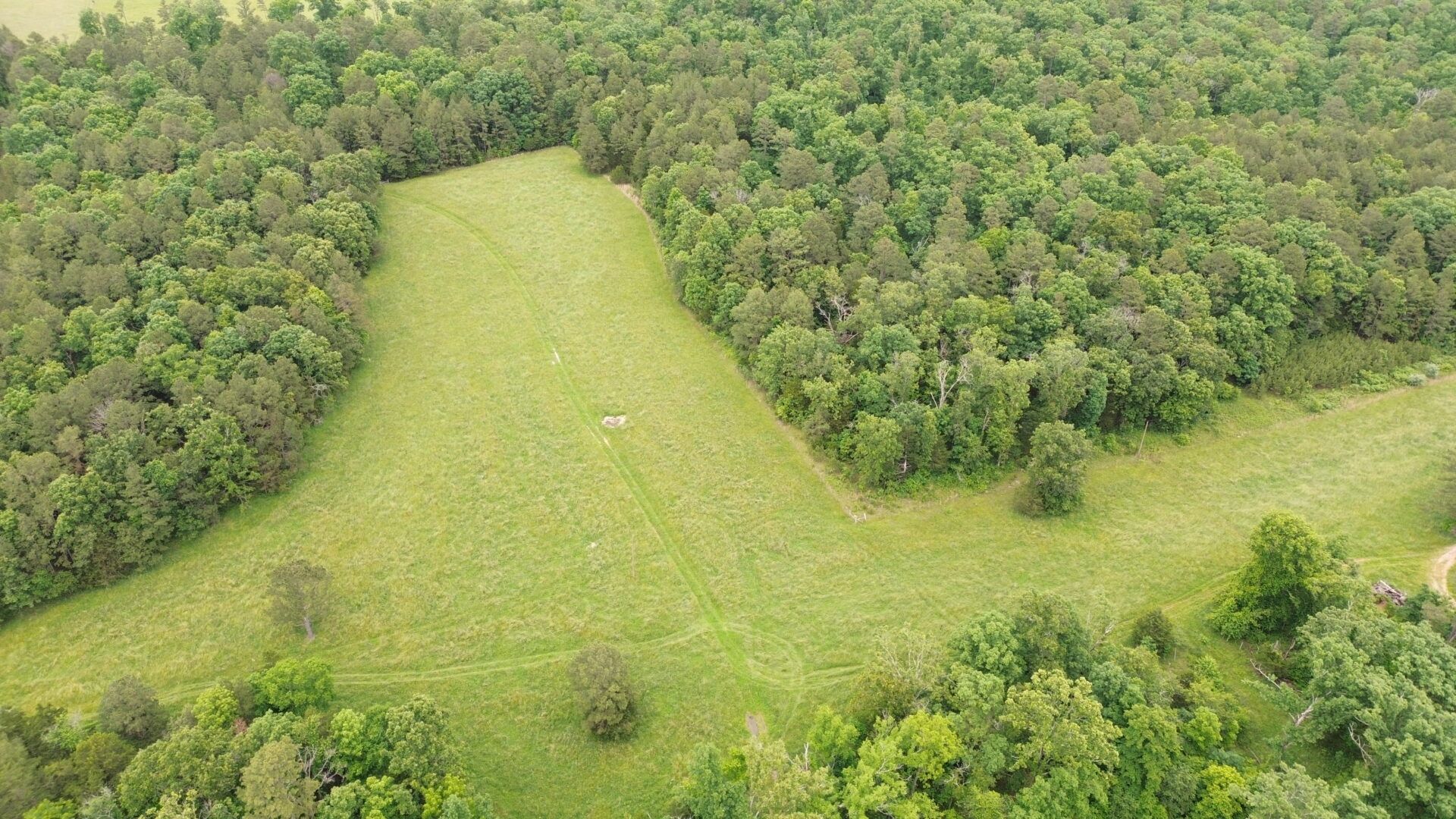 62 Acres, Shannon County, MO, Birch Tree, MO 65438 | LandWatch