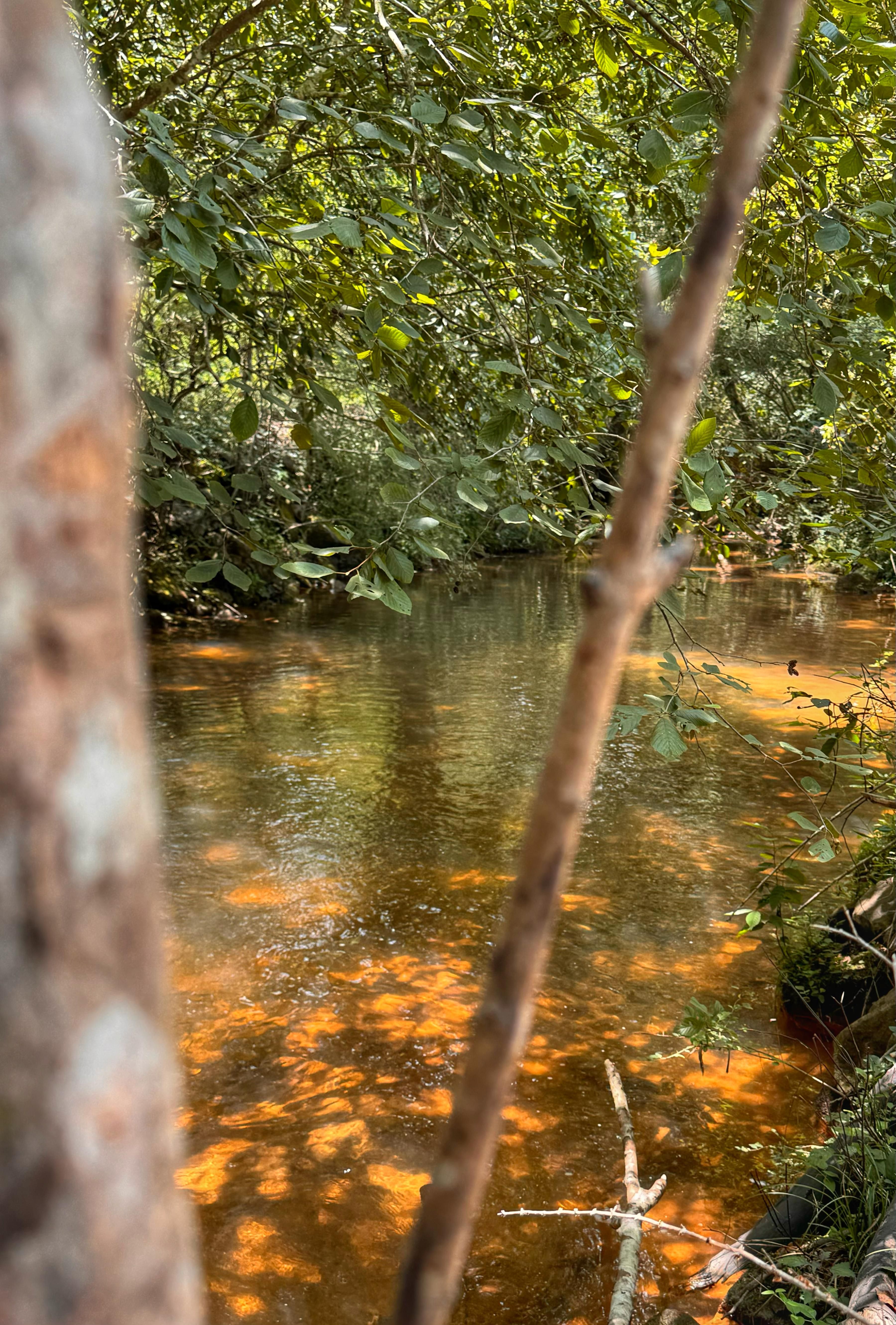 Smith Road, Winfield, AL 35594 | LandWatch